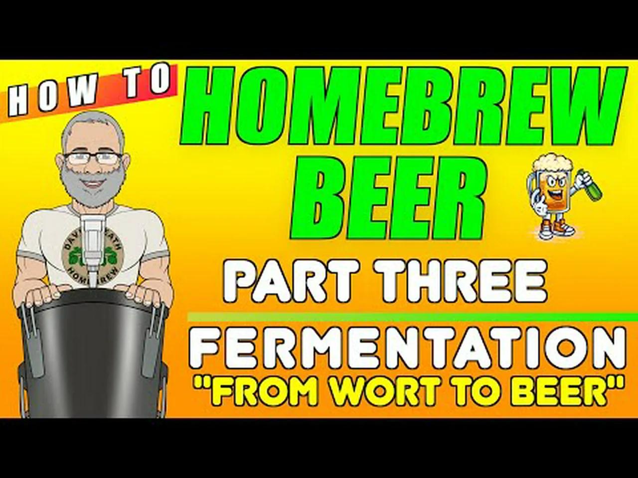 How To HomeBrew Beer Part 3 Fermentation