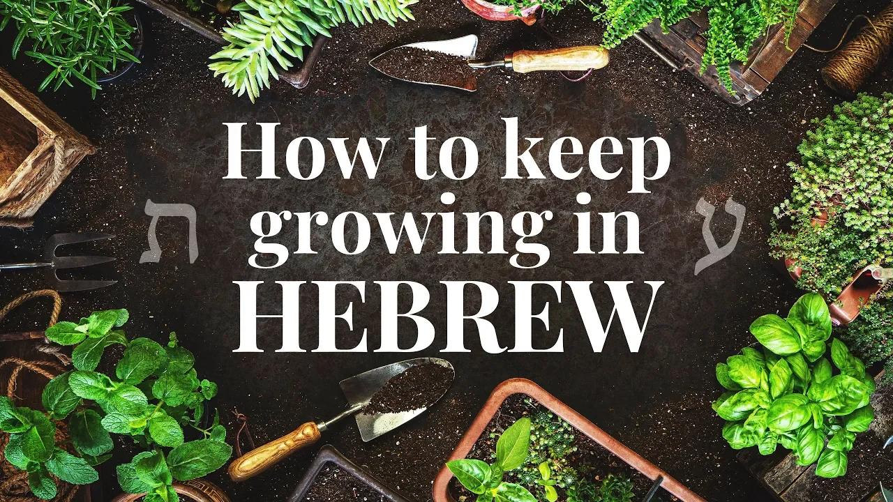 How to Keep Growing in Hebrew if You’ve Reached the End of Our Videos