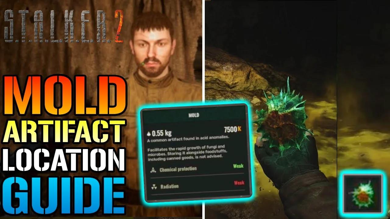 Stalker 2: "Mold" Artifact Location Guide! How To Get This TODAY (Guide)