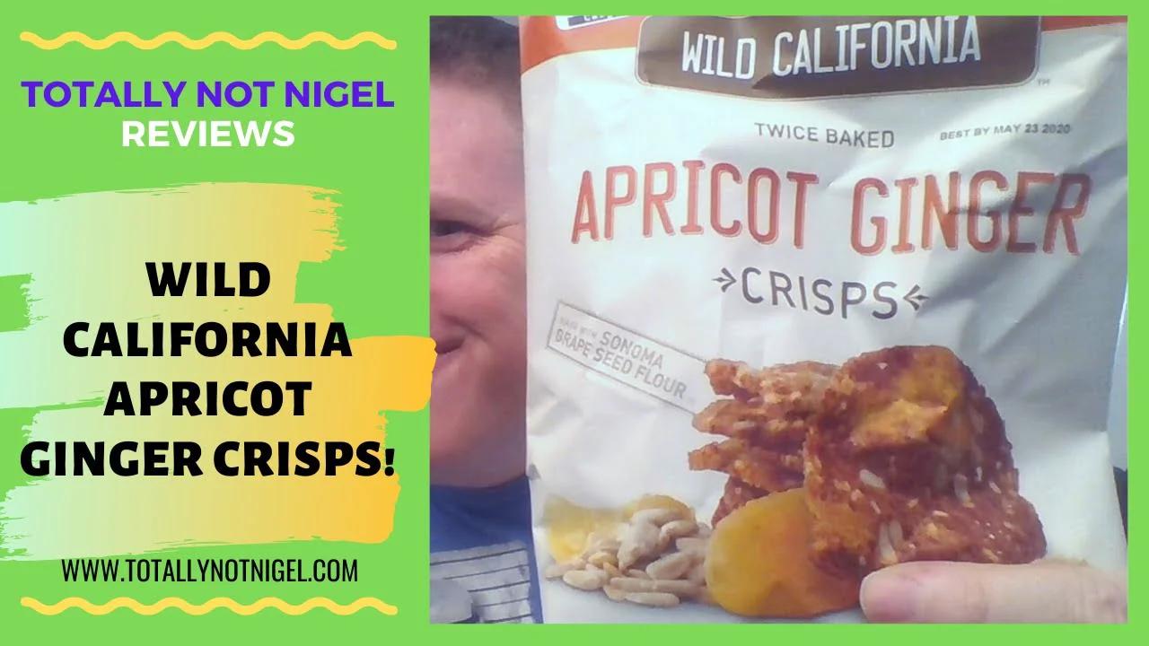FOOD REVIEW: Wild California Apricot Ginger Crisps! TNN Food Reviews Ep ...