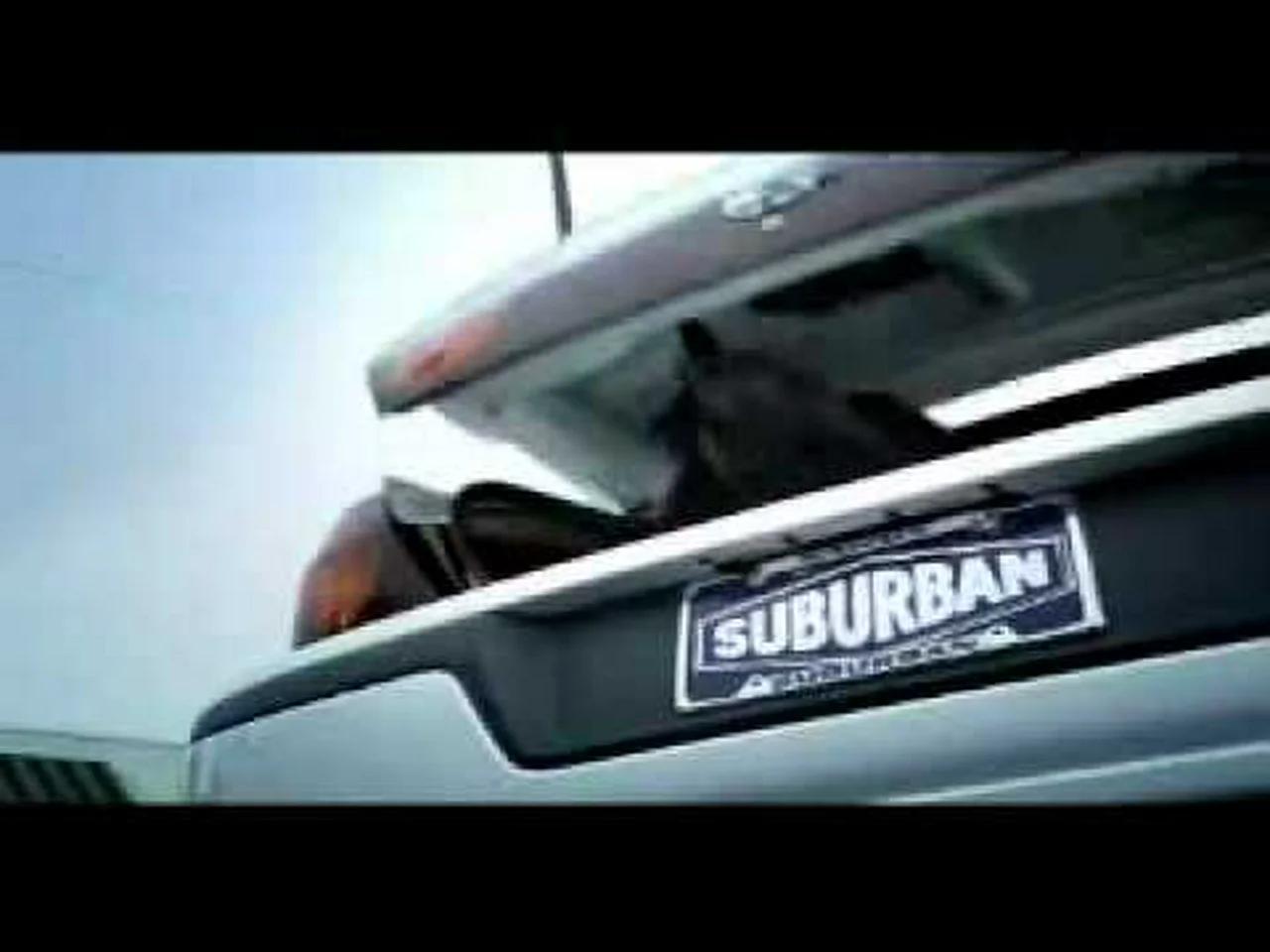 Trunk Monkey 1