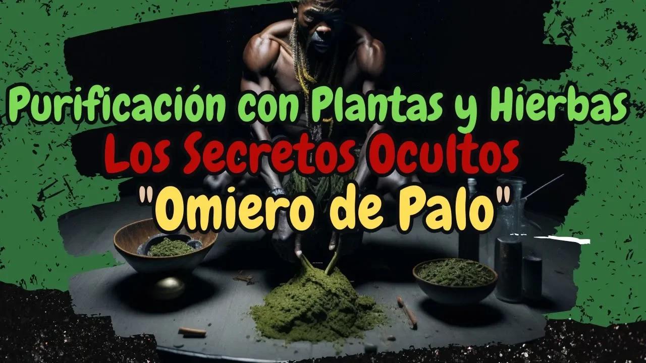 El Omiero de Palo Mayombe - El Ritual Sagrado de Purificación con ...