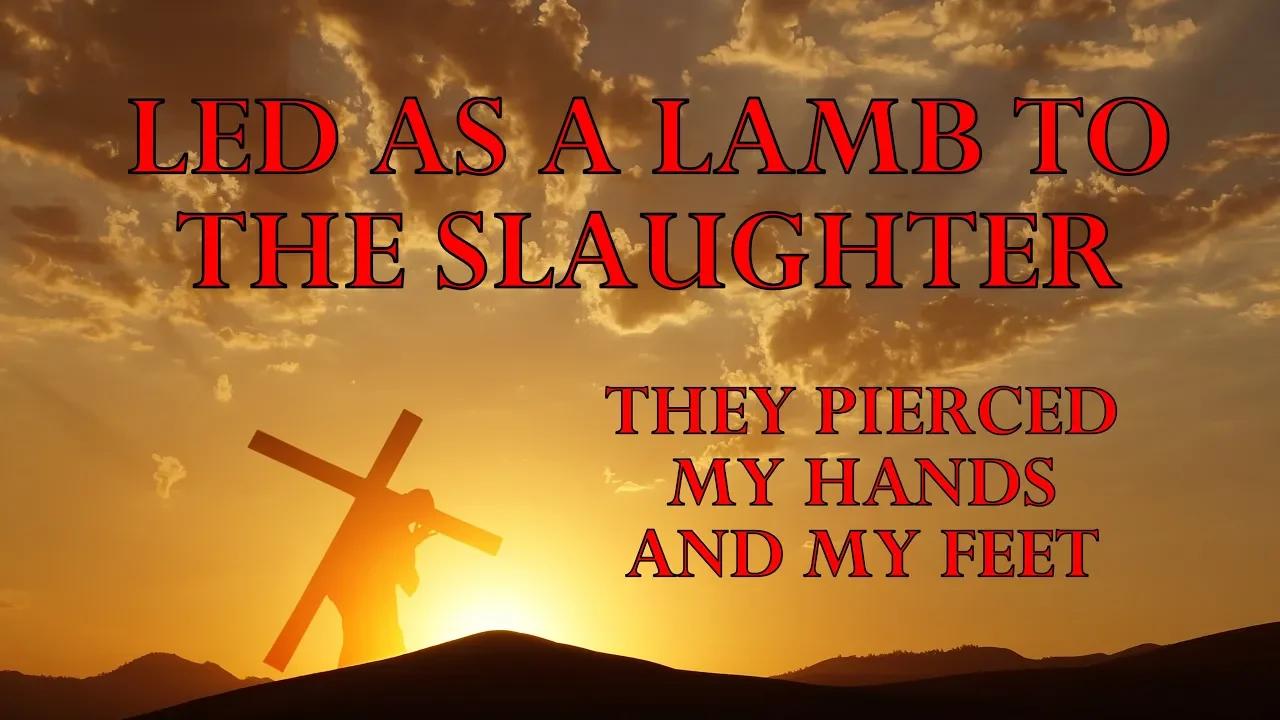Led as a lamb to the slaughter, they pierced My hands and My feet