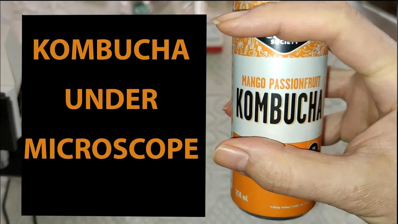 Kombucha under Microscope OMAX 40x 2500x (Opening the gates of ...