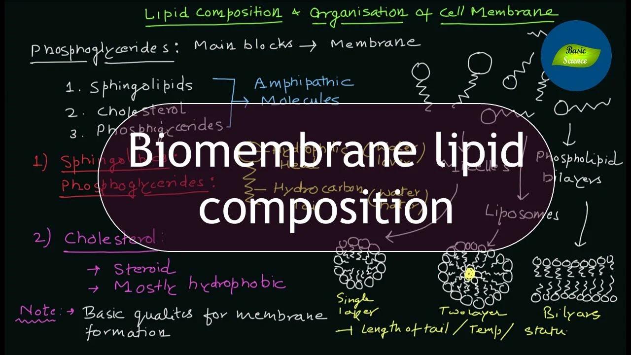 Biomembrane lipid composition | Organization of Cell Membrane | Cell ...