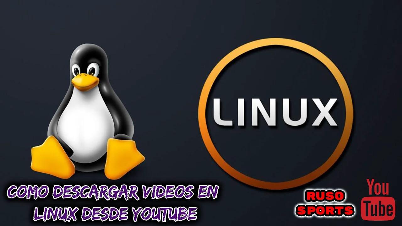 como descargar Videos en linux desde Youtube (desde comando)