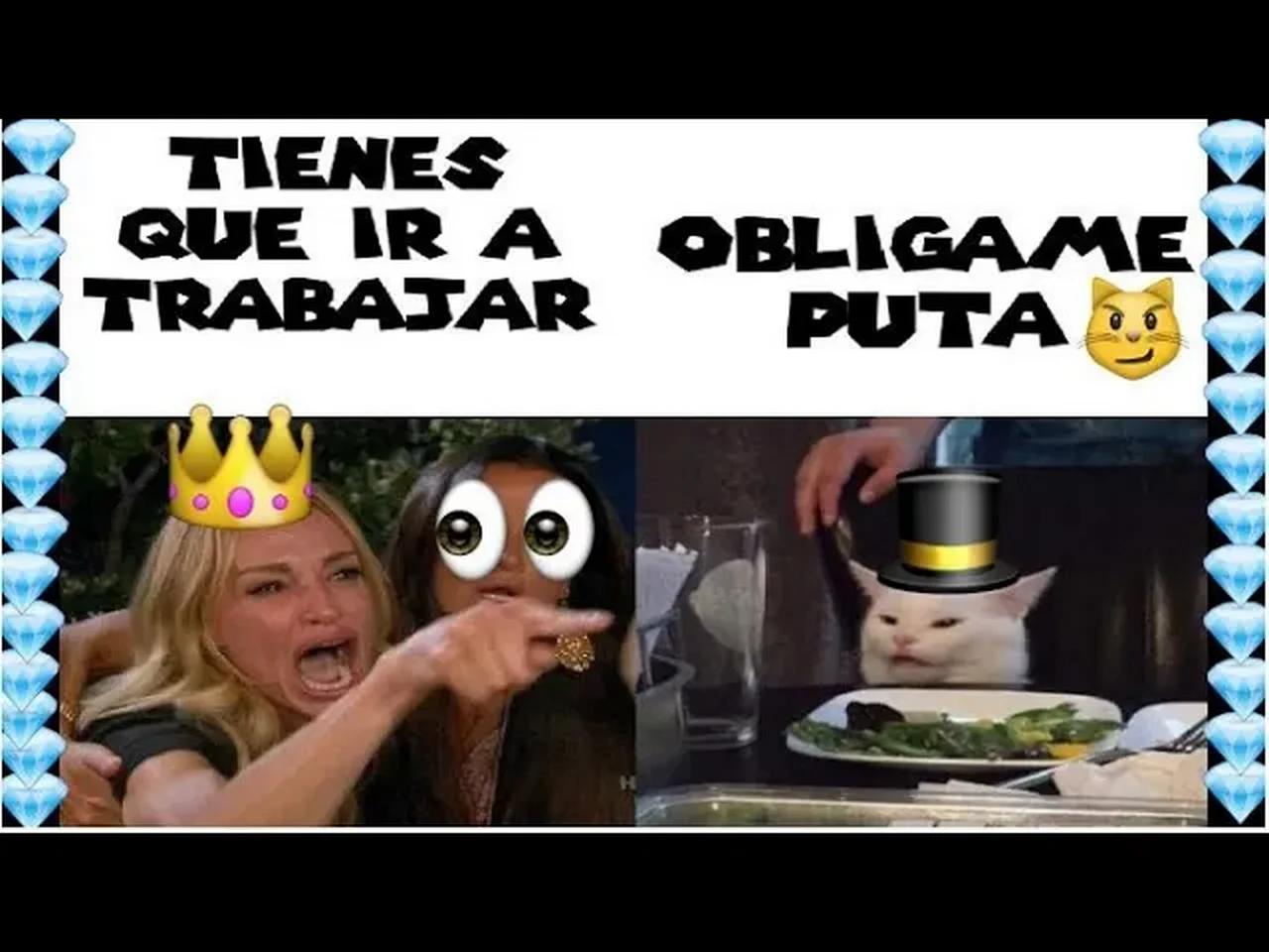 El ORIGEN DEL MEME DEL GATO EN LA MESA Y LA MUJER GRITANDO 2022 | MEMES ...