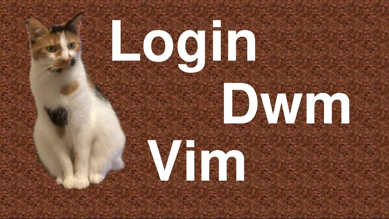 Dwm, Login, Vim