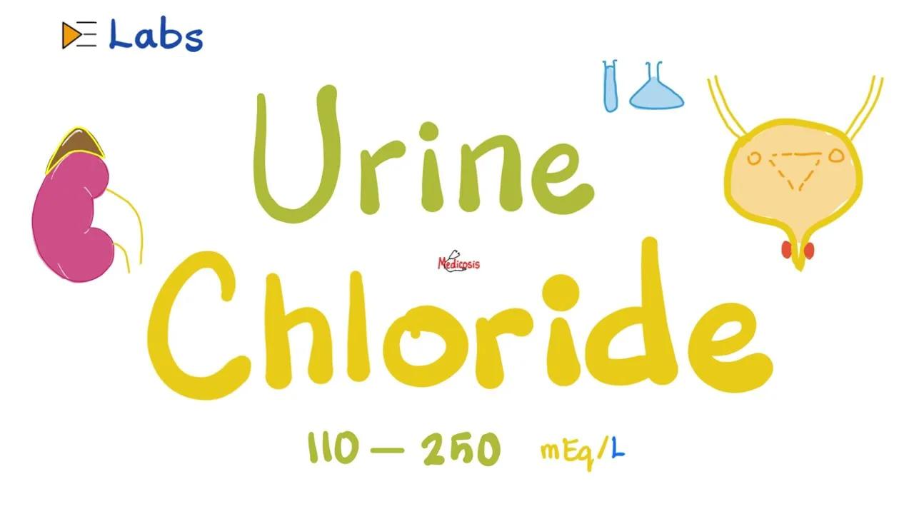 Urine Chloride (Cl)