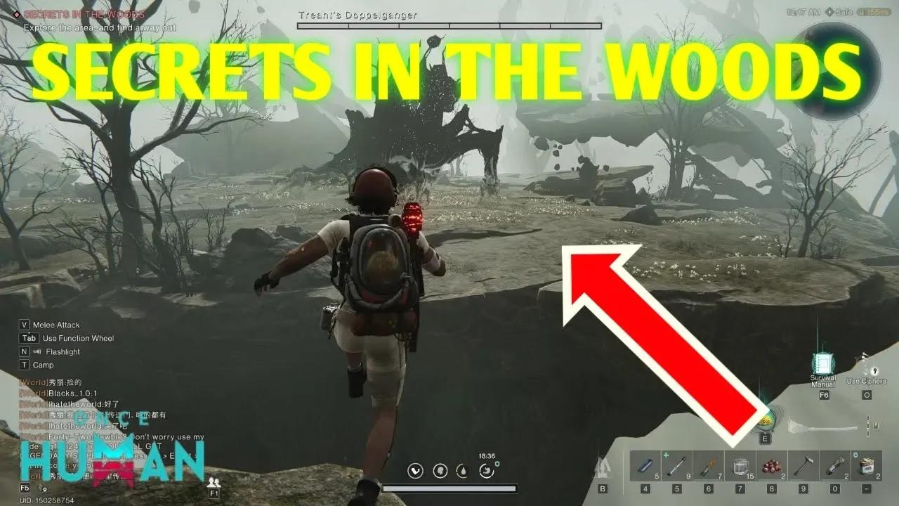 Once Human Secrets in the Woods Task Guide (How to Defeat Treant's ...