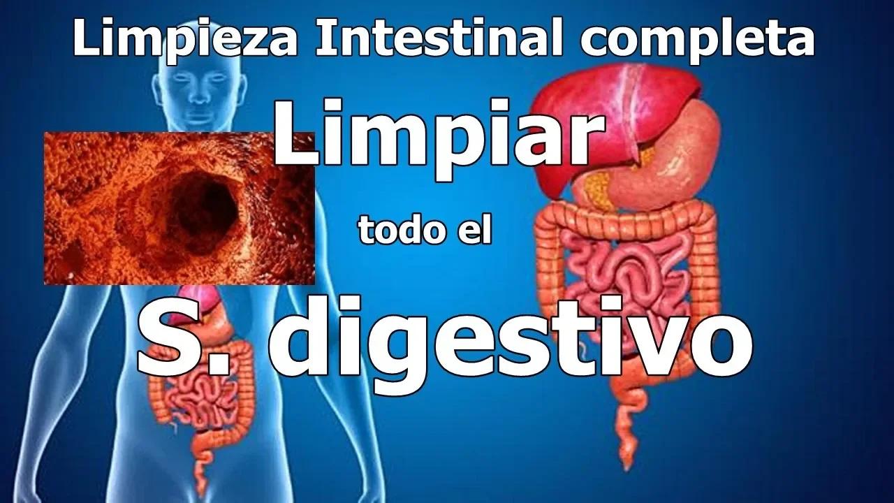 LIMPIEZA INTESTINAL COMPLETA Y DE TODO EL SISTEMA DIGESTIVO, MUY FÁCIL ...