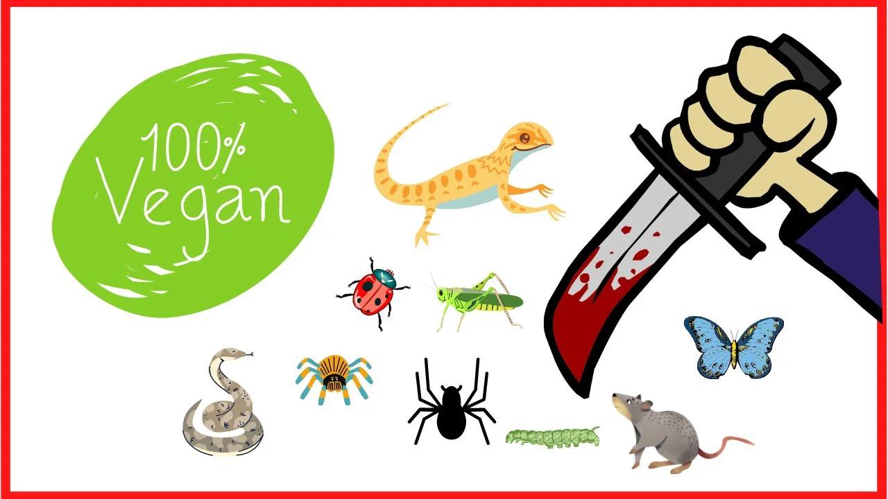 Lo sapevi che l'alimentazione vegana uccide più animali di quella onnivora?