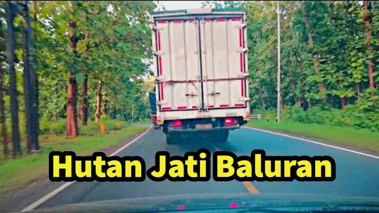 Situasi Hutan Jati Alas Baluran Situbondo