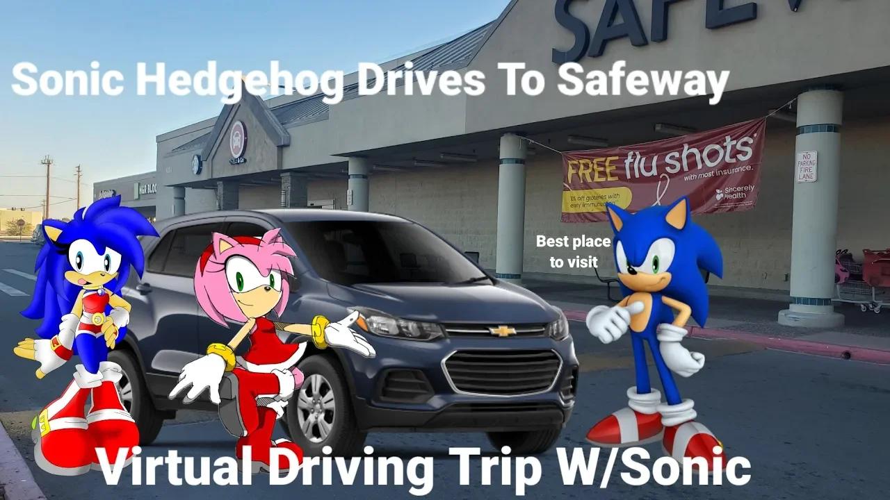 Sonic Hedgehog Drives To Safeway On Aztec Road (Virtual Driving Movie)
