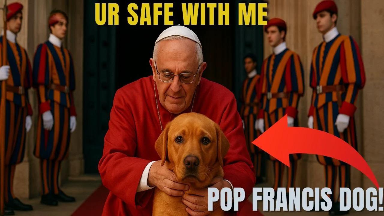 Pope Leo XIV Did the Unthinkable with Pope Francis’ Dog… And Left the ...