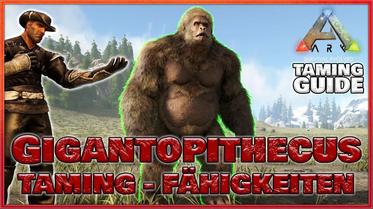 ARK TAMING GUIDE ★ Gigantopithecus zähmen und Fähigkeiten | ARK: Survival Evolved | #Doctendo