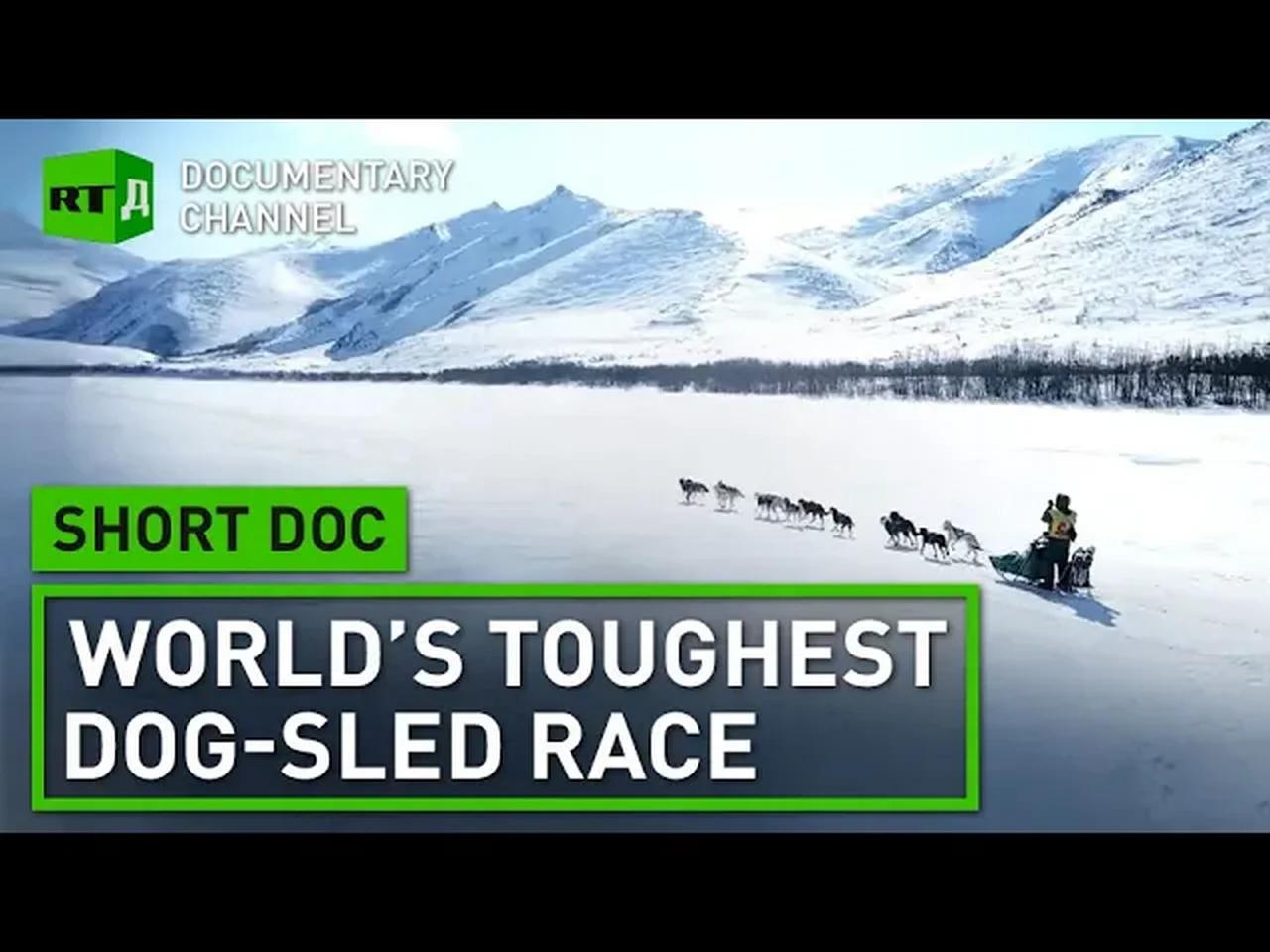 Beringia: World’s Toughest Dog-Sled Race | Short Doc