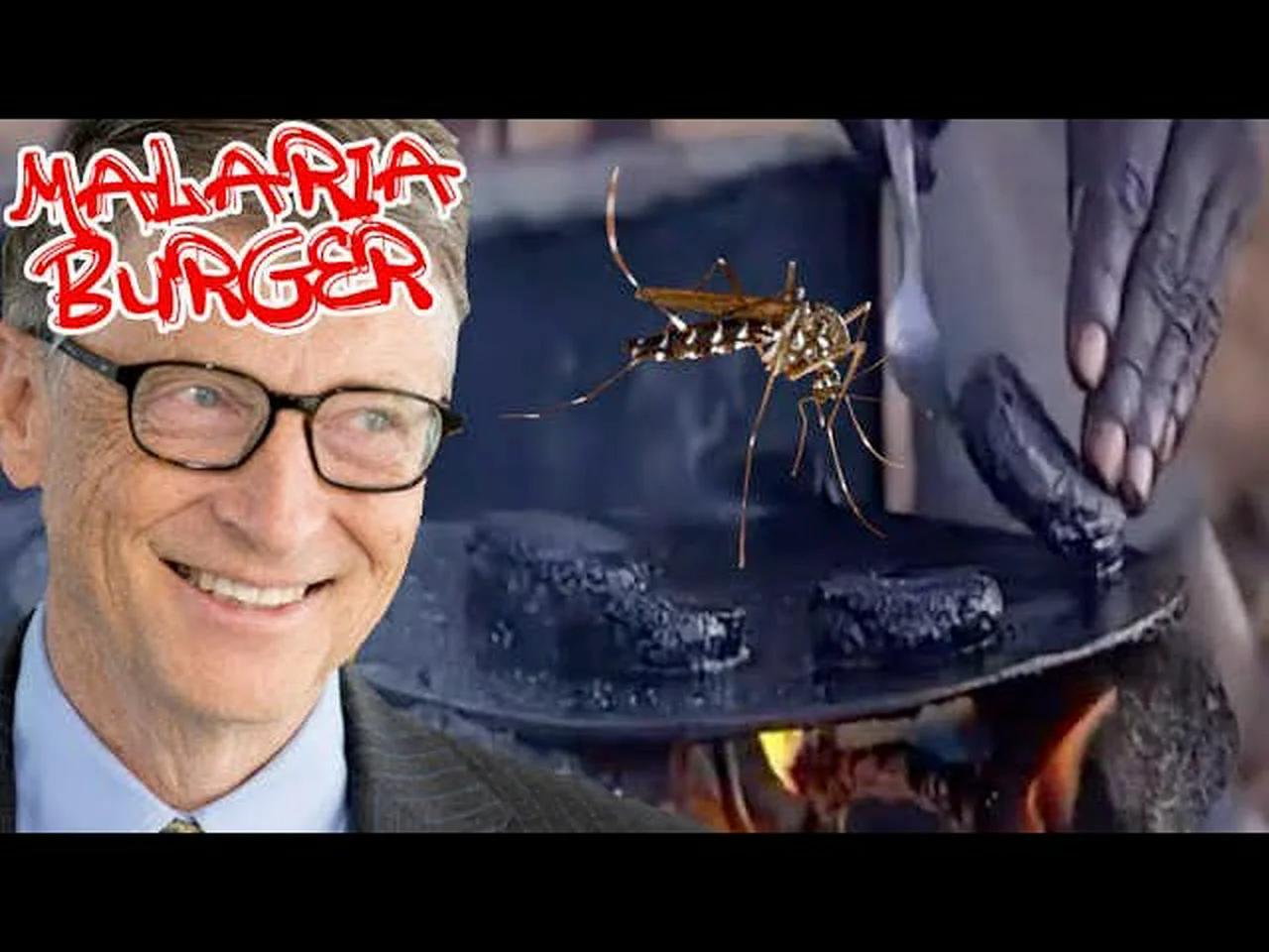 Now They Want Us to Eat "Protein Packed" Mosquito Burgers