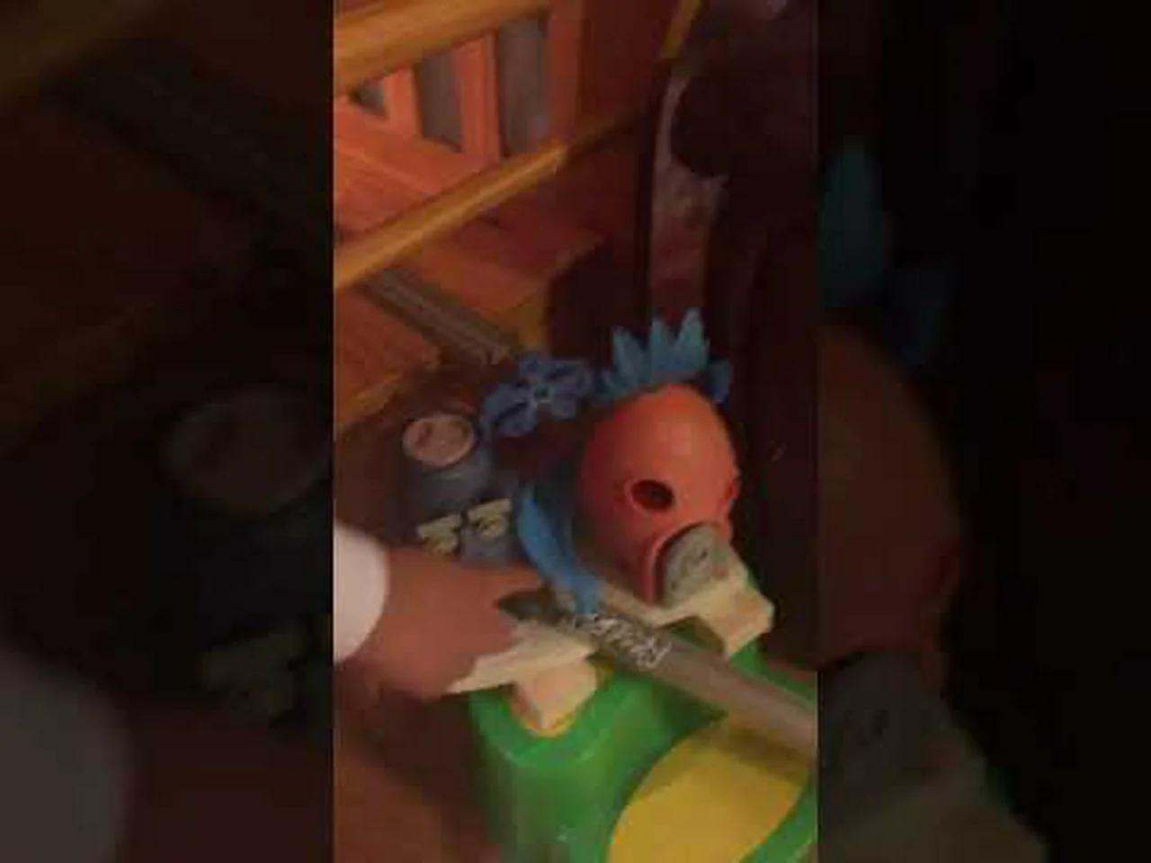 Rube Goldberg Project: Explaination