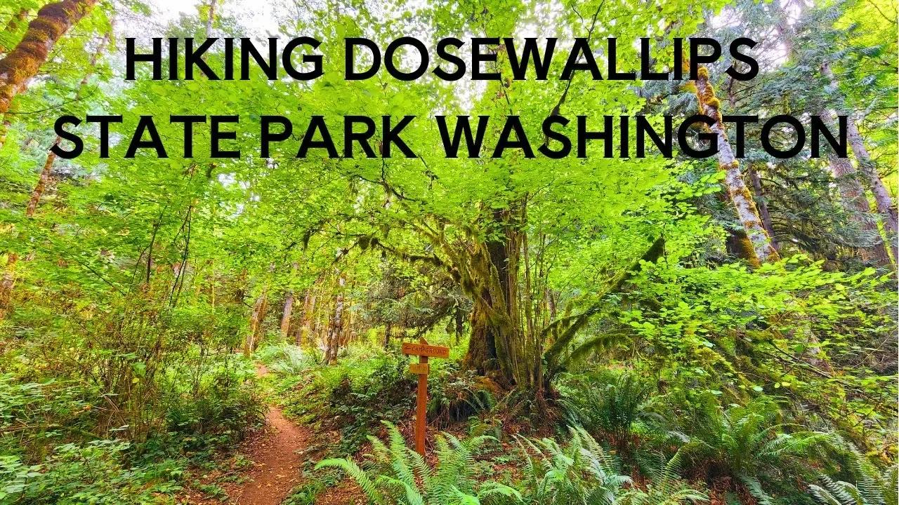 HIKING DOSEWALLIPS STATE PARK WASHINGTON