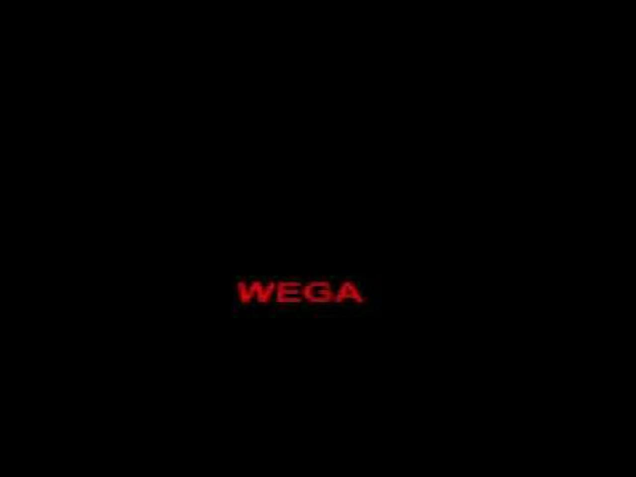 how WEGA was made