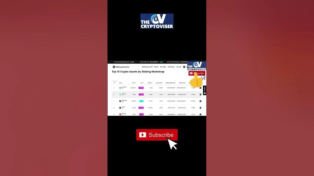 CARDANO LARGEST STAKING NETWORK