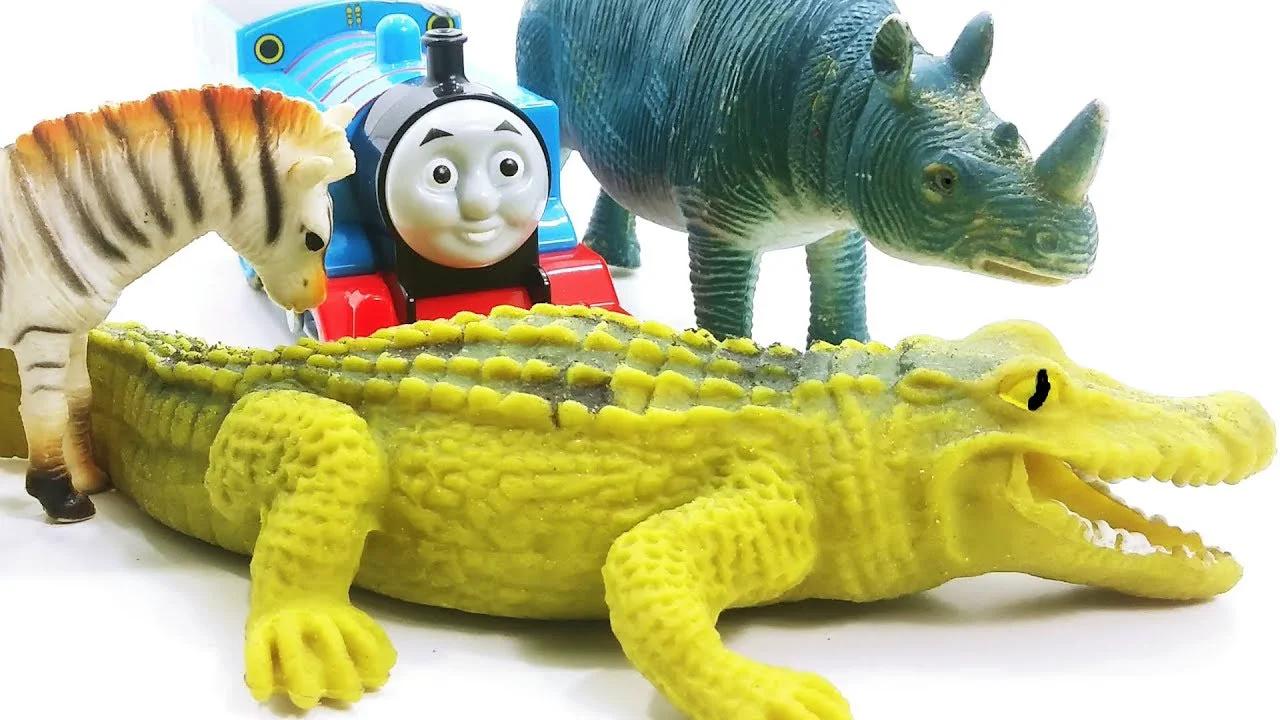 Learn Wild Animals Names Thomas and Friends Educational Videos for Kids