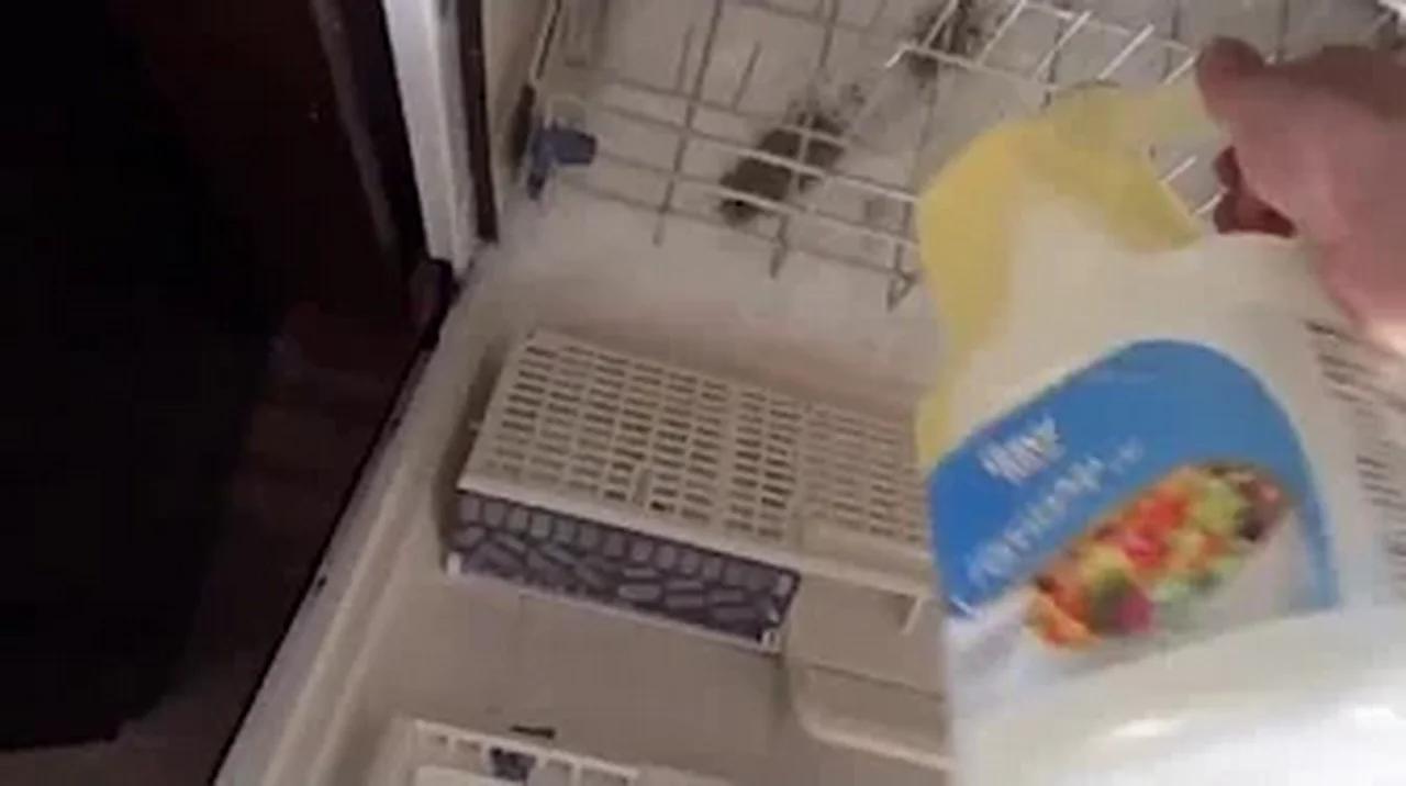 How to remove suds from a dishwasher or washer machine - dyi home ...