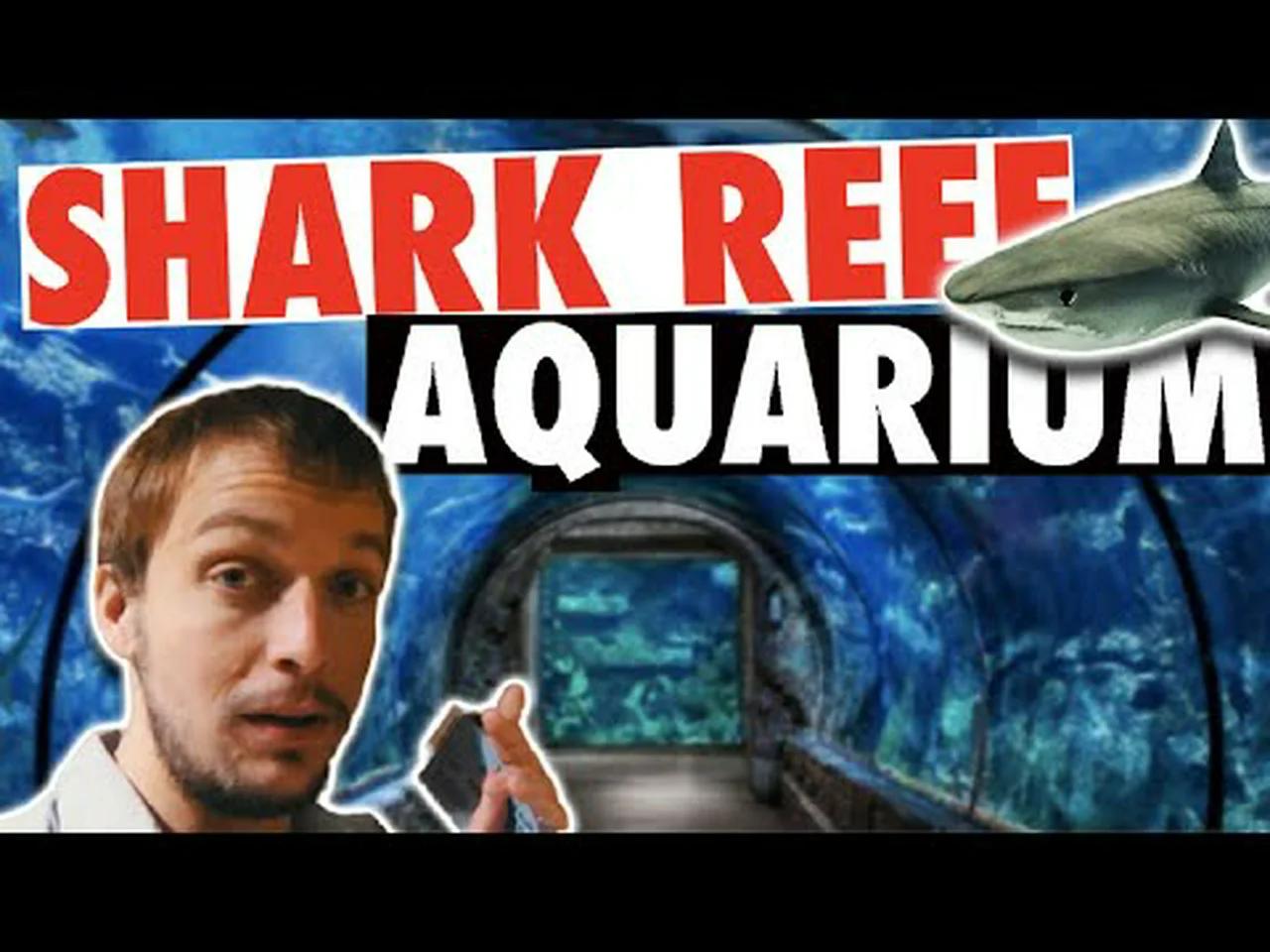 Shark Reef Aquarium at Mandalay Bay Vlog | Las Vegas 2020