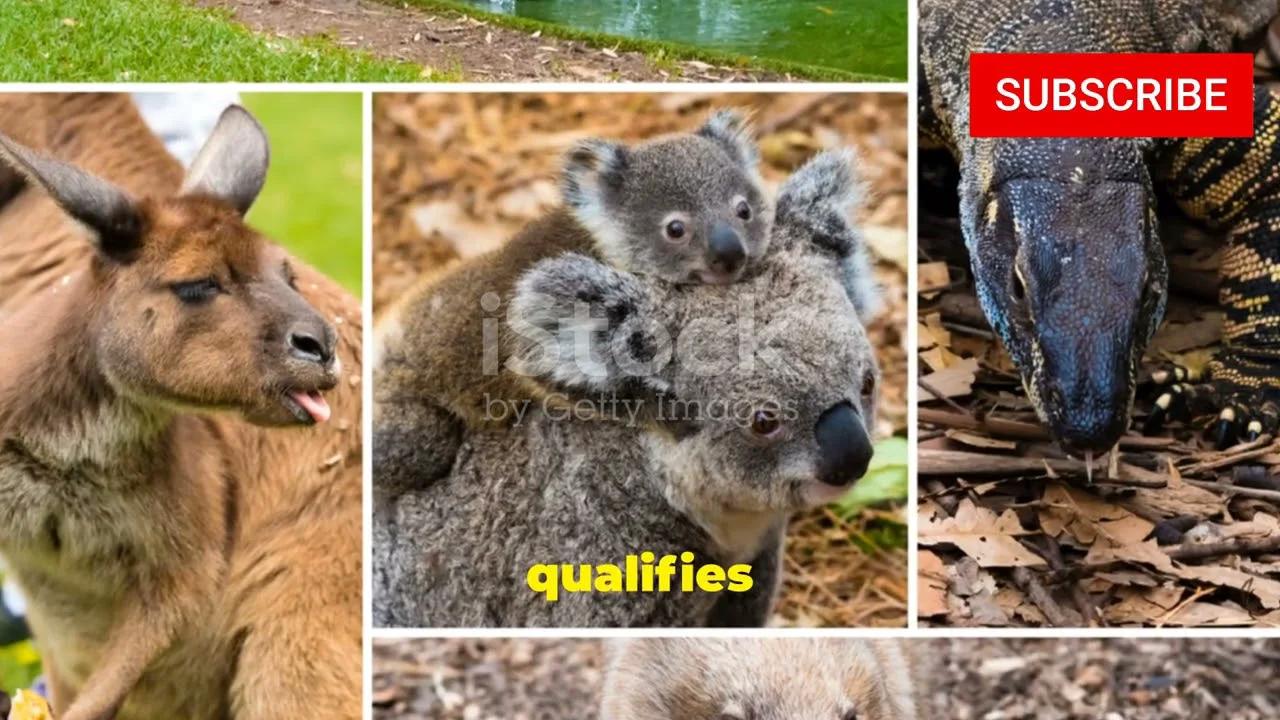 Shocking Truth About Greenland's Island Status