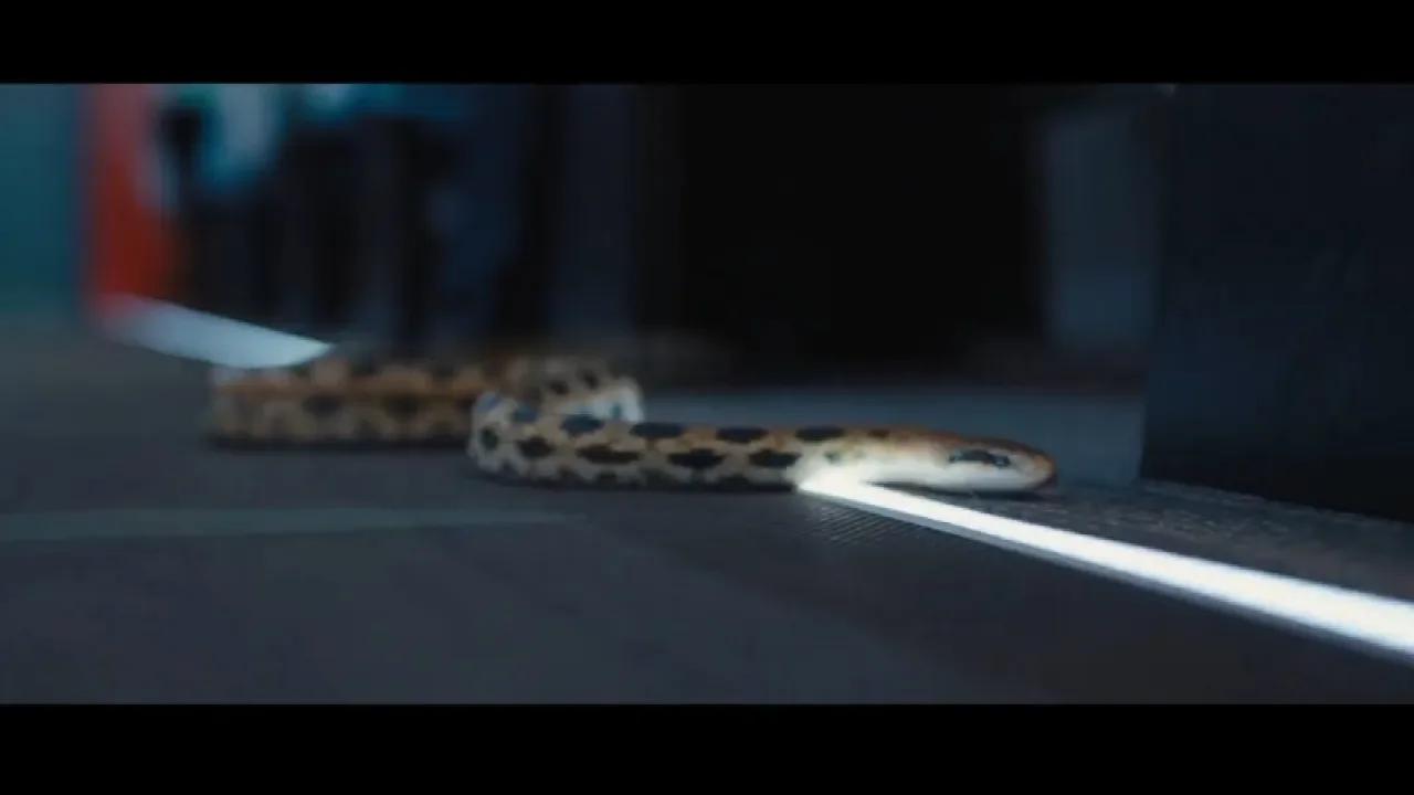BULLET TRAIN - BOOMSLANG SNAKE scenes