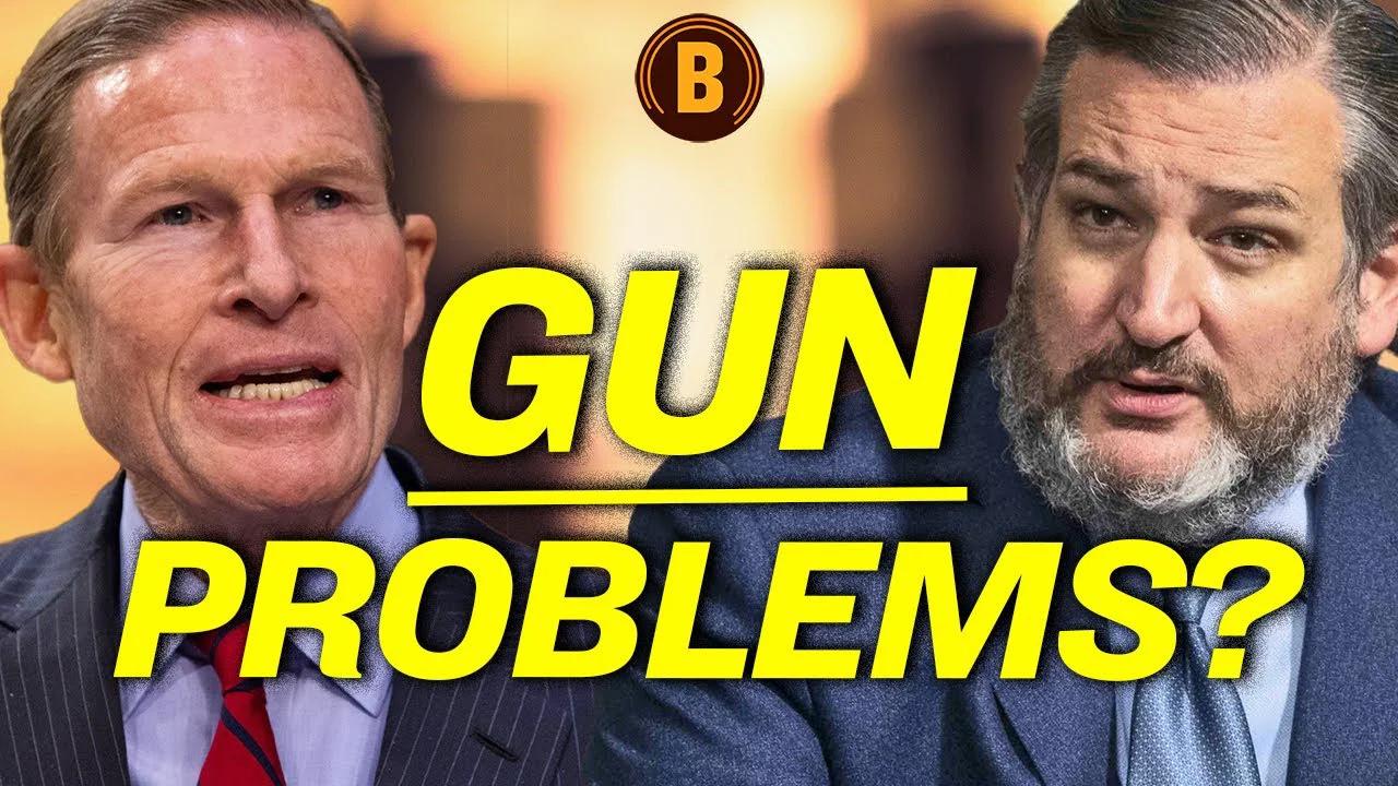 The Motives Behind The Democrats Pushing Gun Control; Analyzing Asian ...