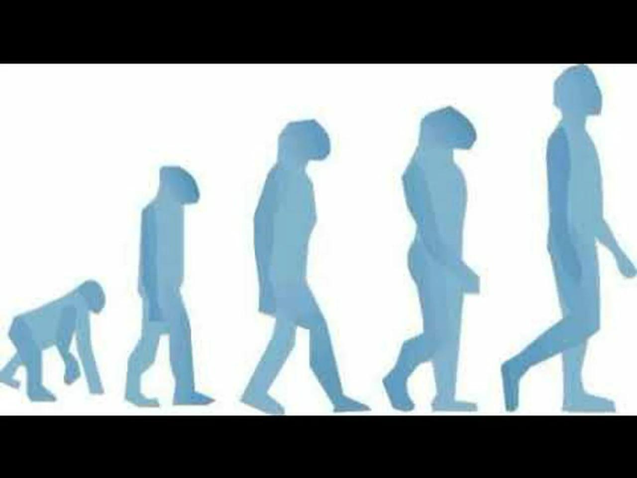 Mate Choice from Evolutionary Biology