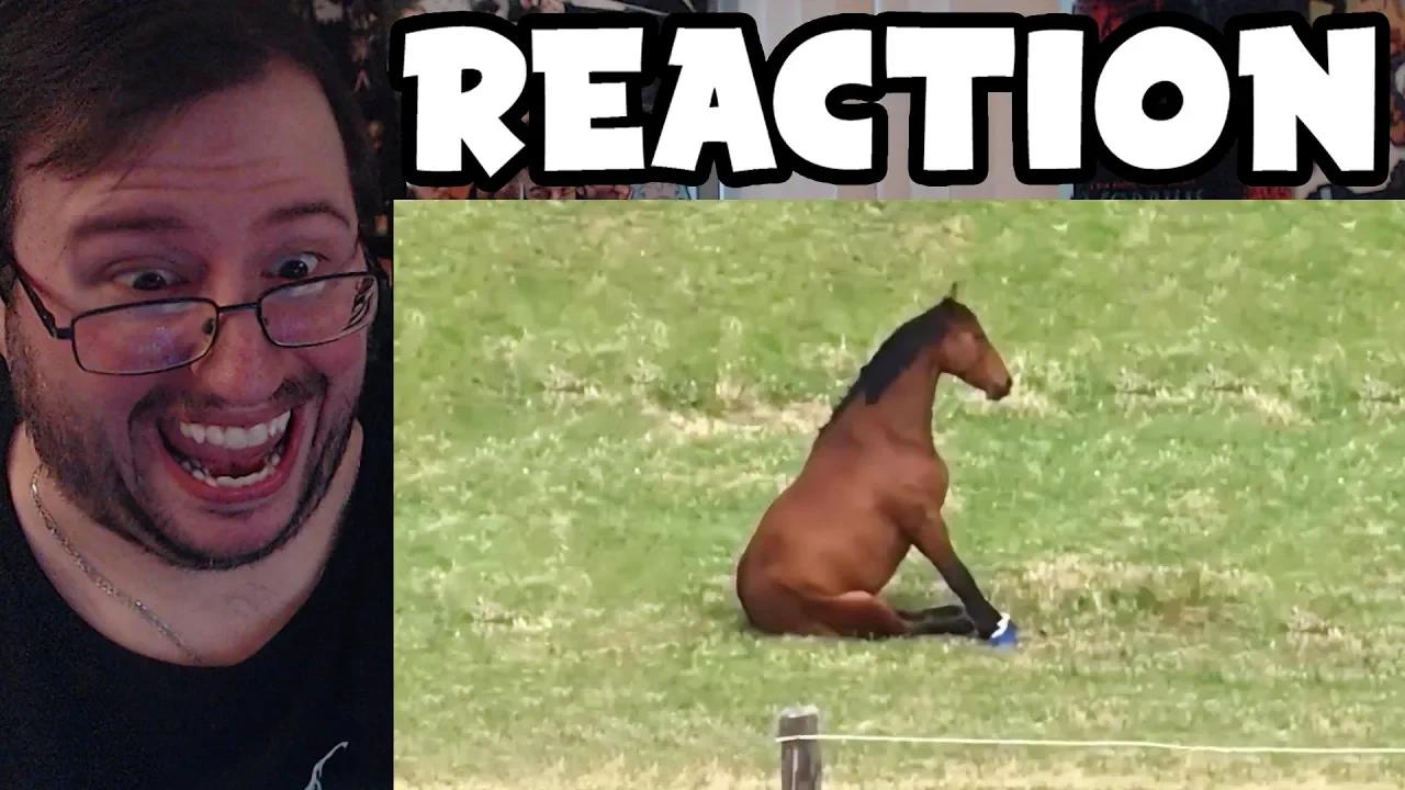 Gor's "UNUSUAL MEMES COMPILATION V235 by UnusualVideos" REACTION