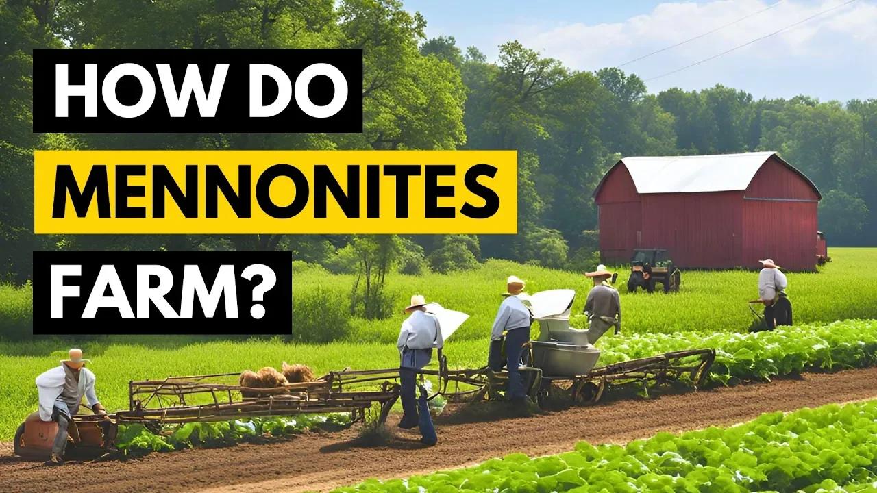 Look INSIDE a Mennonite Farm - Growing Food Without Electricity