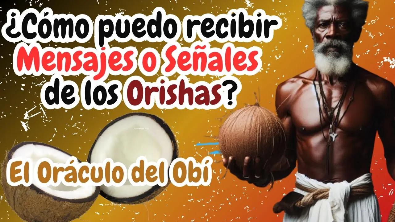 El Oráculo del Obí ( Coco) en la Religión Yoruba - Santeria Cubana