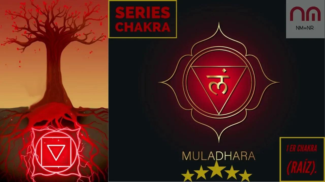 1° Chakra: Muladhara - Afirmaciones para el Primer Chakra. (Series Chakras).