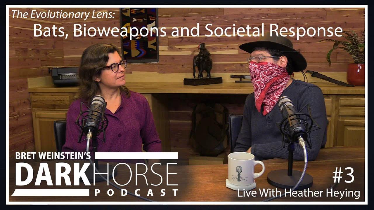 Bret and Heather 3rd Live Stream: Bats, Bio-Weapons and Societal ...