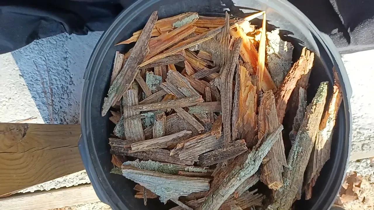 How to find Fat Lighter wood in the south #fatwood