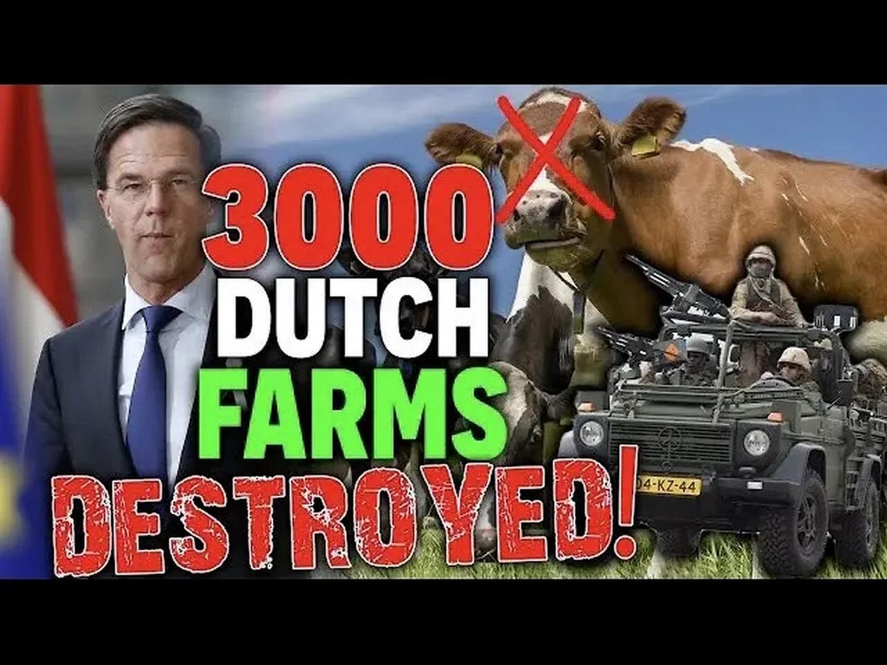 3000 DUTCH Farms DESTROYED Farmers Plan the Biggest PROTEST Yet