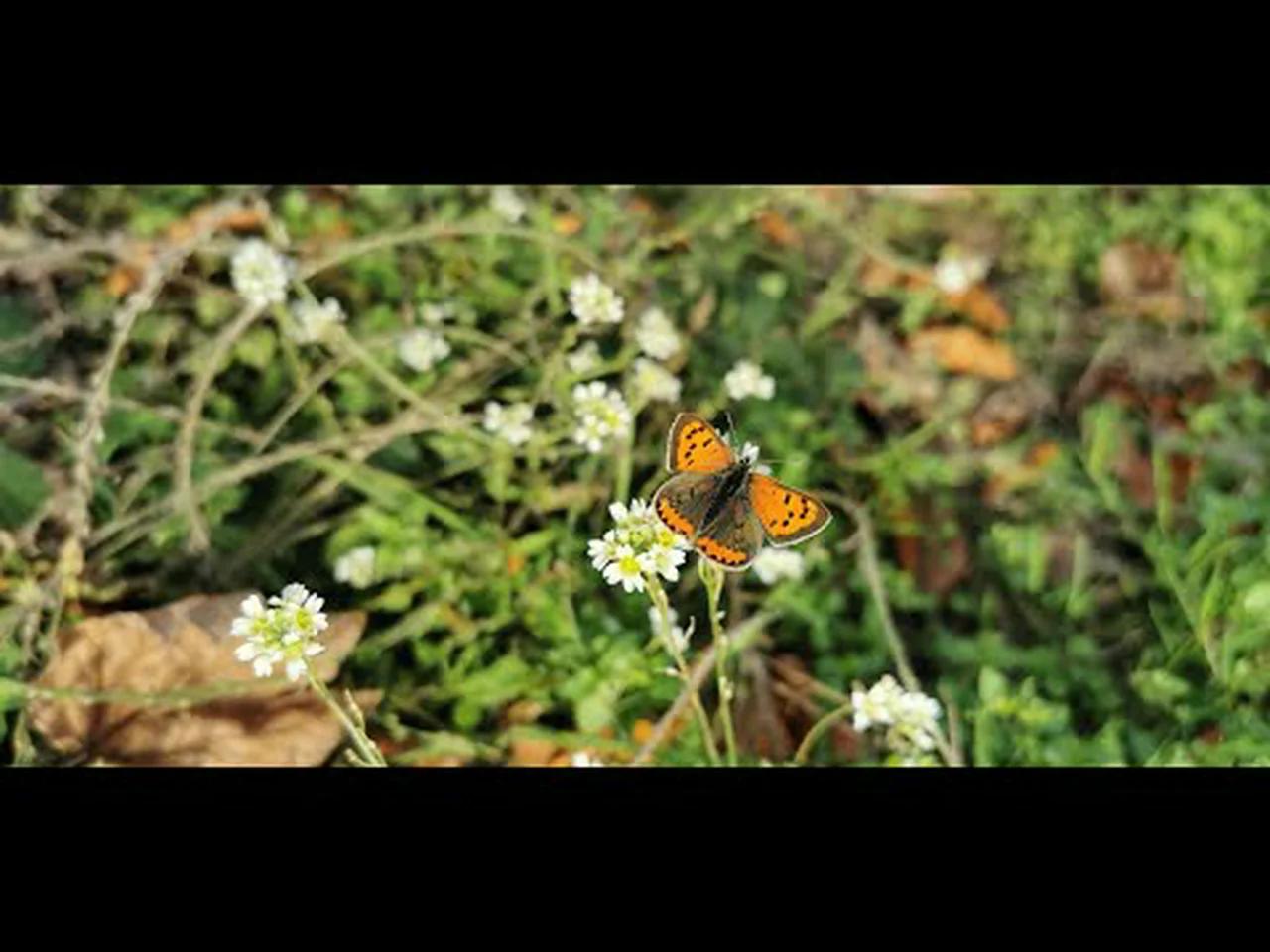 Um die Ecke (4k)