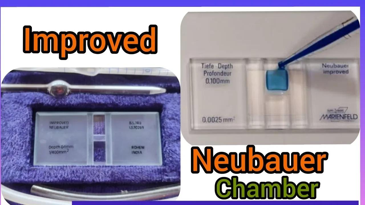 Improved Neubauer Chamber In Detail|| WBC,RBC , Platelet Count ...
