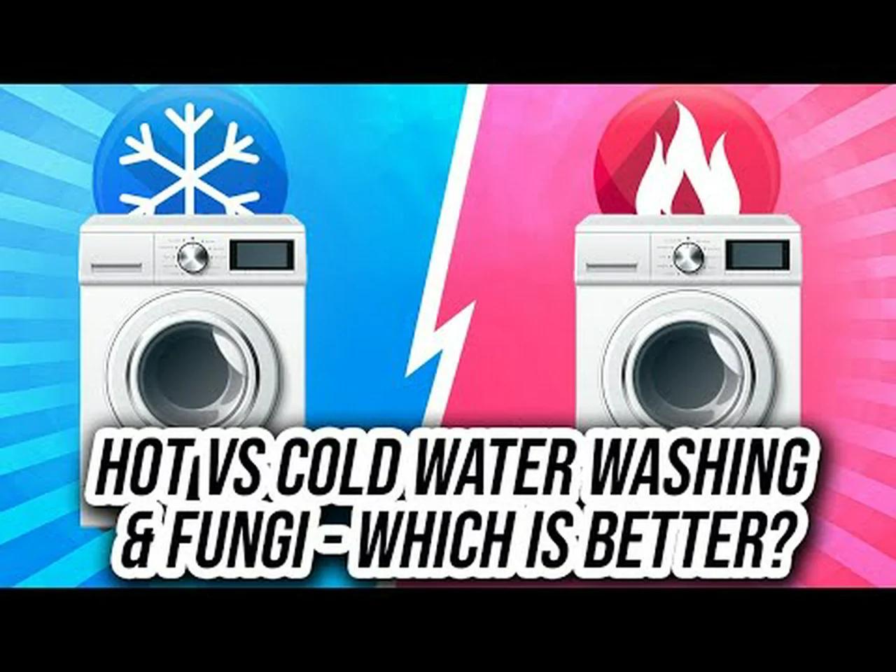 Hot vs Cold Water Washing & Fungi – Which is Better?