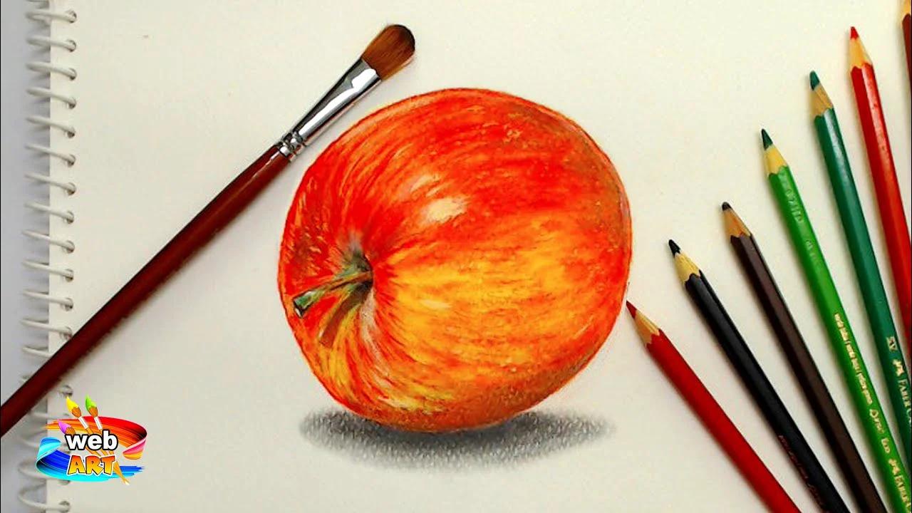 Apple drawing, How to Draw An Apple in Pencil, step by step how to use ...