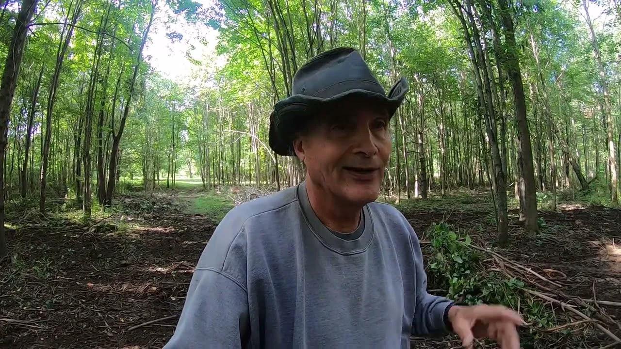 More forest progress near Bas camp