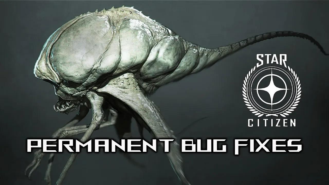 STAR CITIZEN PERMANENT BUG FIXES