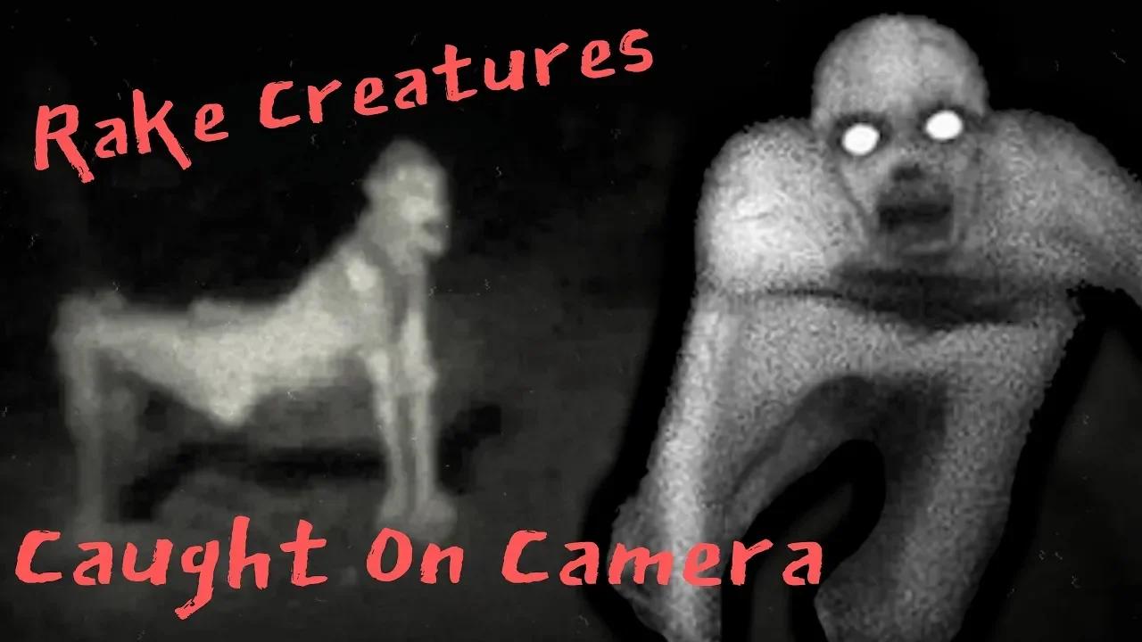 Rake Creatures Caught On Camera | The Confessionals