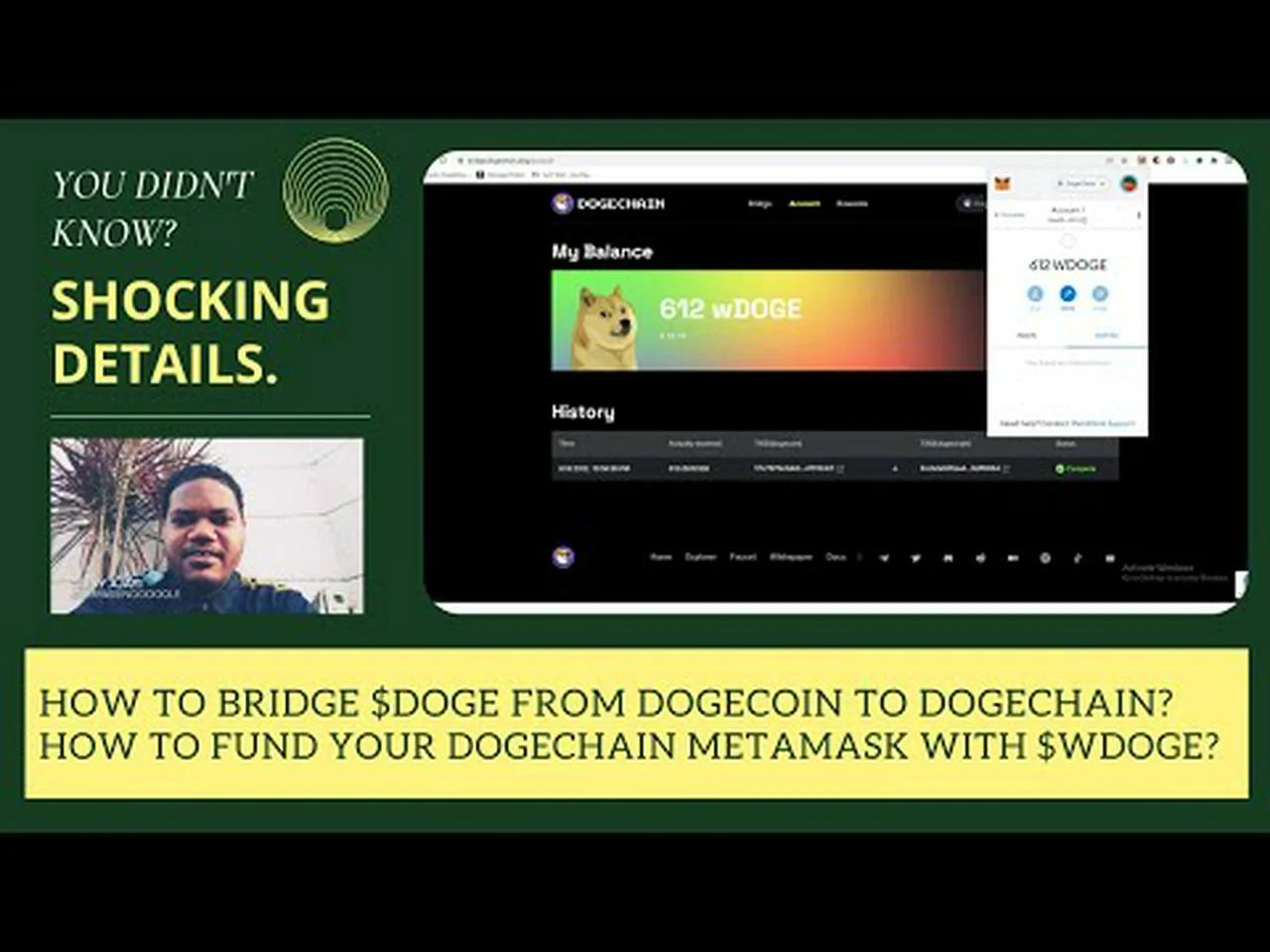 How To Bridge $DOGE From Dogecoin To Dogechain? How To Fund Your ...