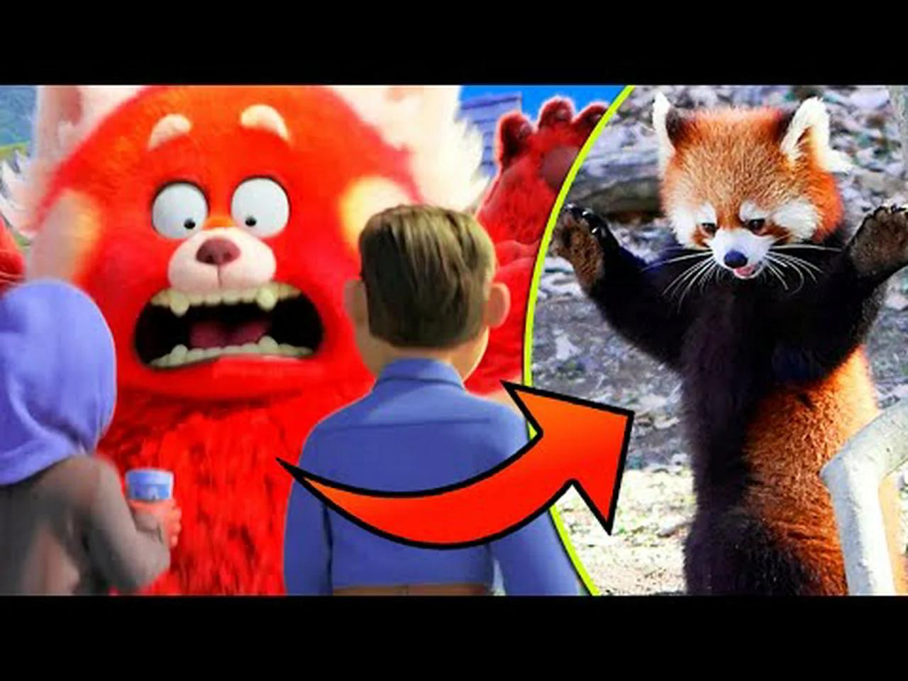 Los Personajes de "Turning Red" En la Vida Real 😱 | Disney Pixar