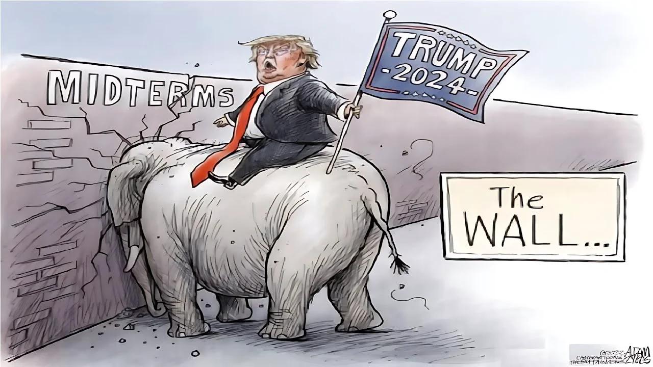 #28 American President Comics | Political Caricatures Trump Biden Nikki ...